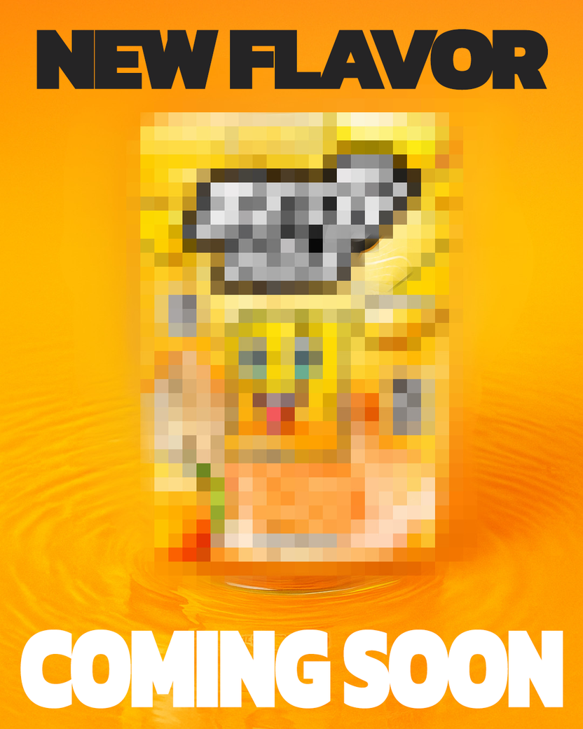 Zesty Snackz - The best bite sized flavour packed candy – Zesty Snackz LLC